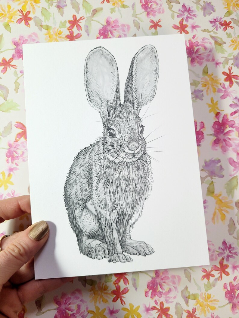 Bunny Rabbit Pencil Drawing Prints set of 4 - Etsy