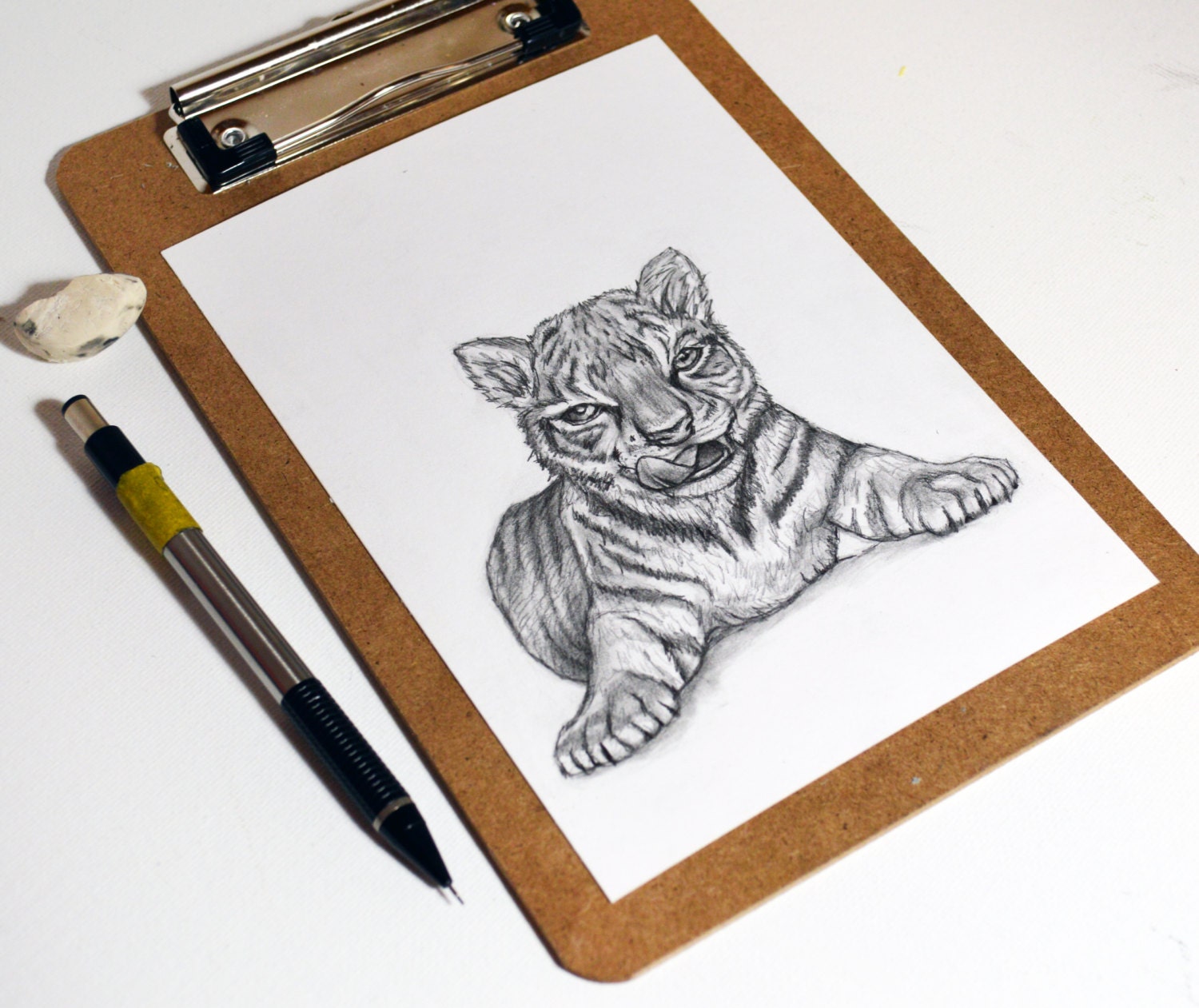 Pencil Illustration - Tiger Cub 57 - Etsy