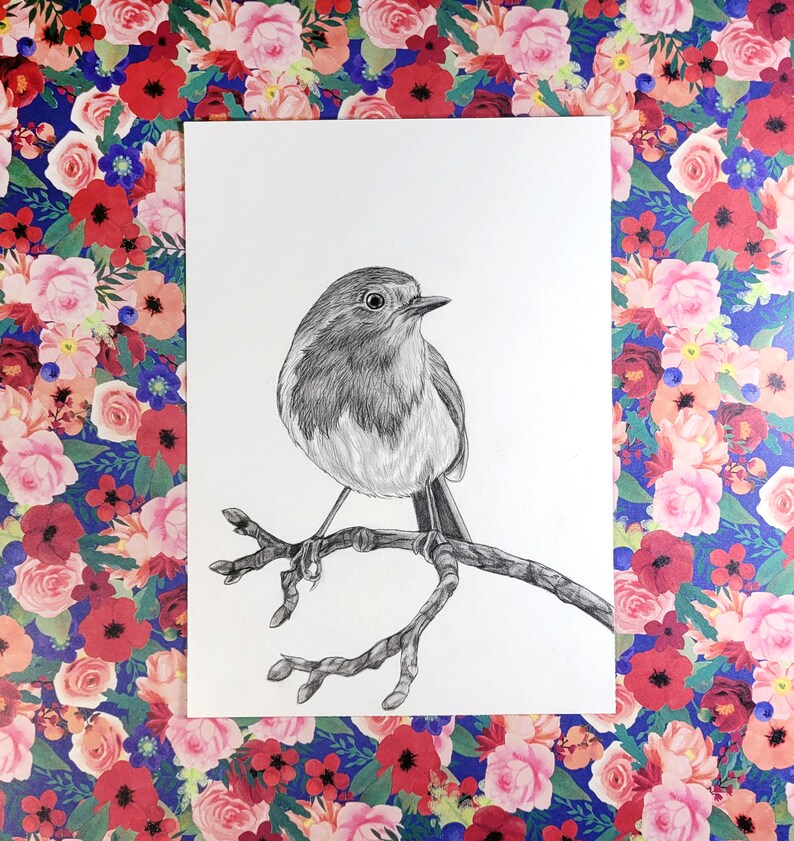 Robin Original Bird Pencil Drawing 119 - Etsy