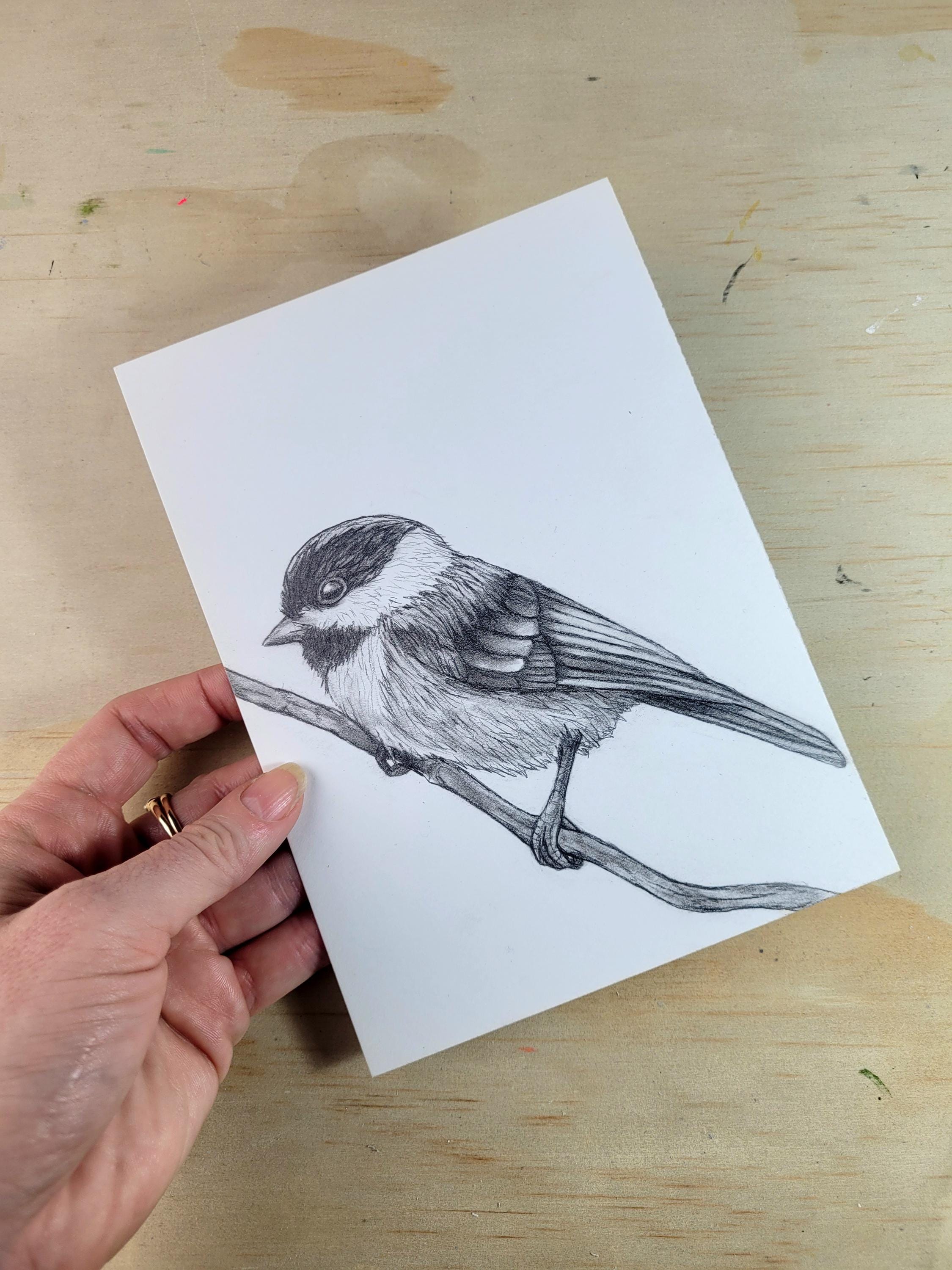 Original Chickadee Pencil Drawing - 129 - Etsy