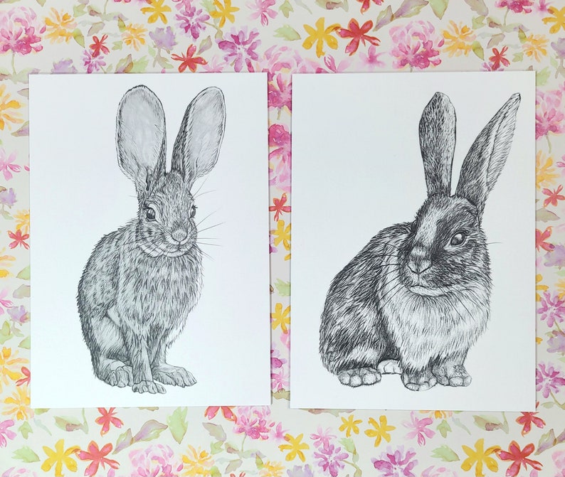 Bunny Rabbit Pencil Drawing Prints set of 4 - Etsy