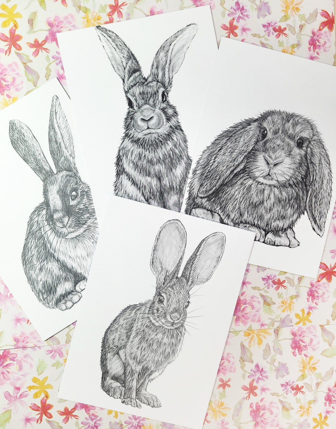 Bunny Rabbit Pencil Drawing Prints (set of 4) - Etsy