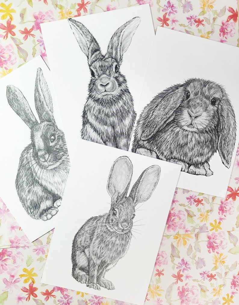 Bunny Rabbit Pencil Drawing Prints set of 4 - Etsy