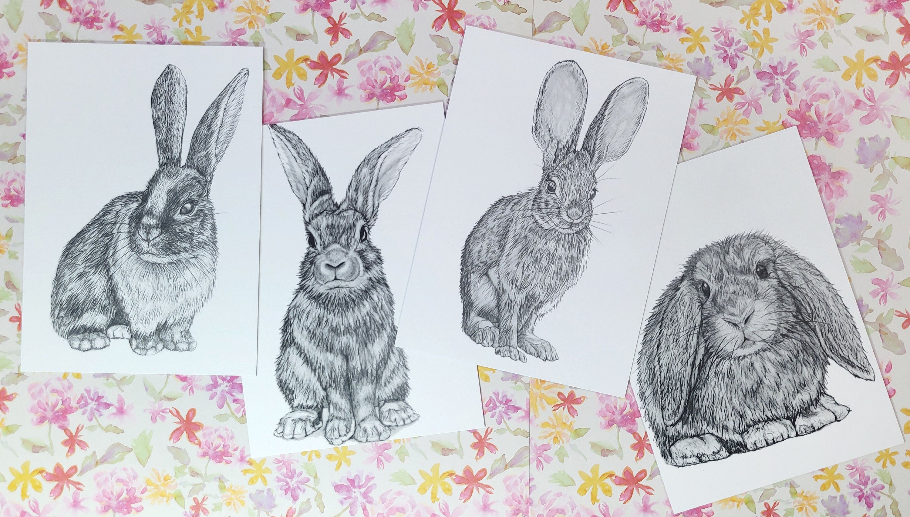 Bunny Rabbit Pencil Drawing Prints set of 4 - Etsy