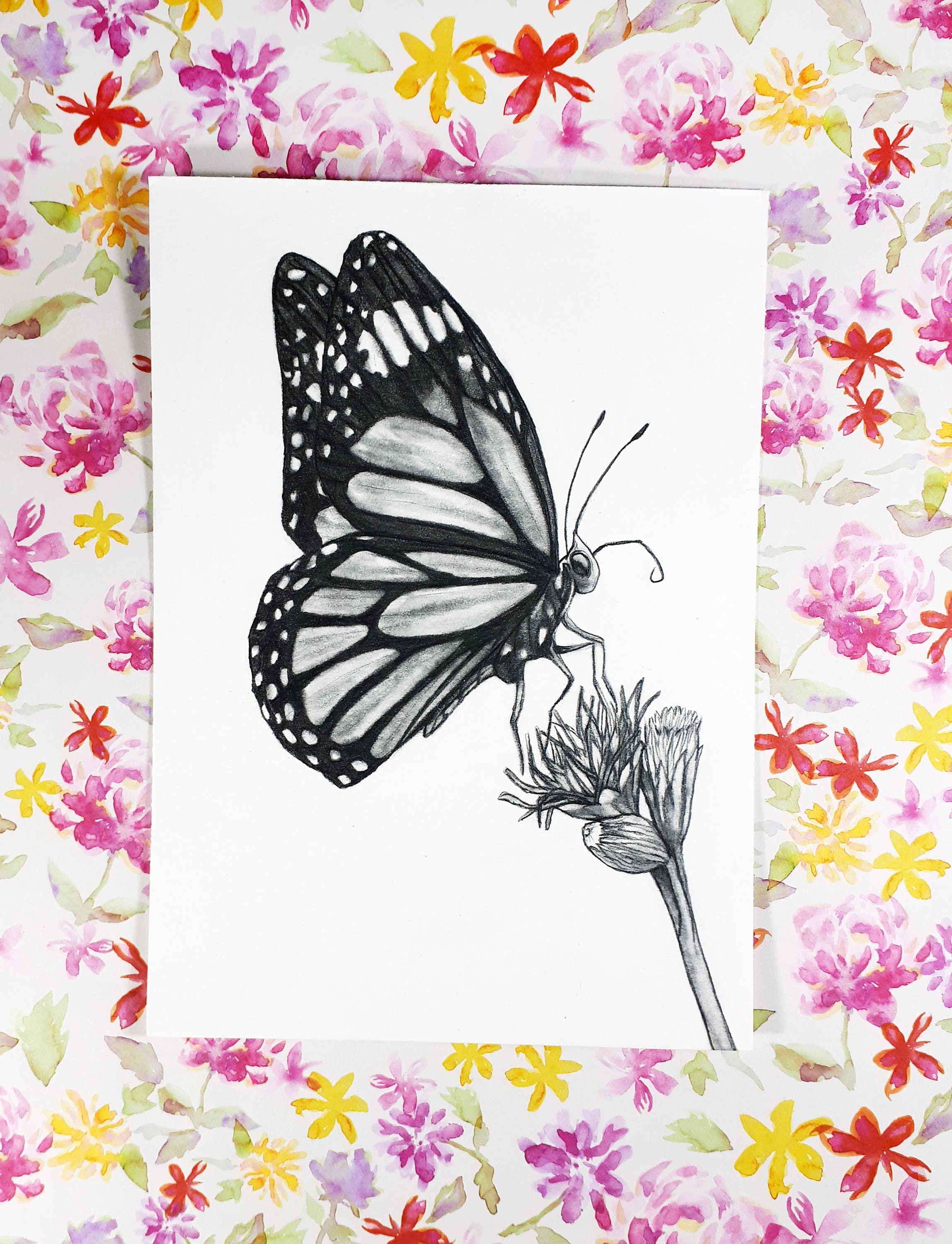Butterfly Original Pencil Drawing 116 - Etsy