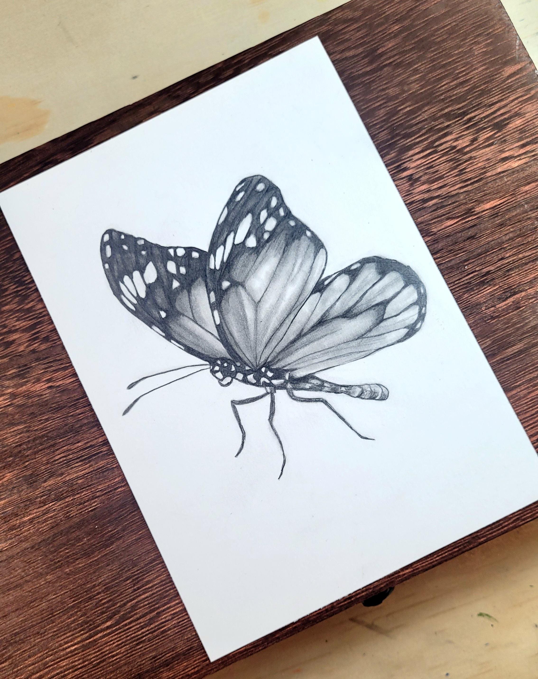 Original Butterfly Pencil Drawing - 130 - Etsy