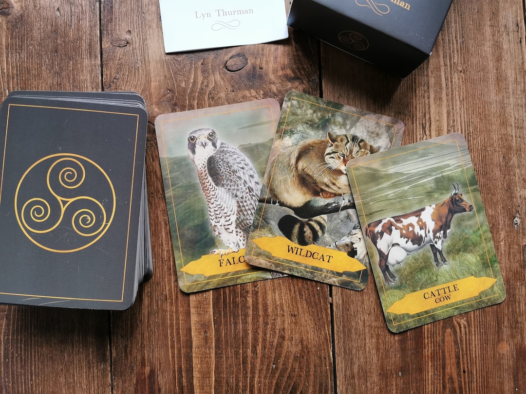 Animal Spirits of the Sacred Isles Oracle Deck ~ Kickstarter Oracle ...