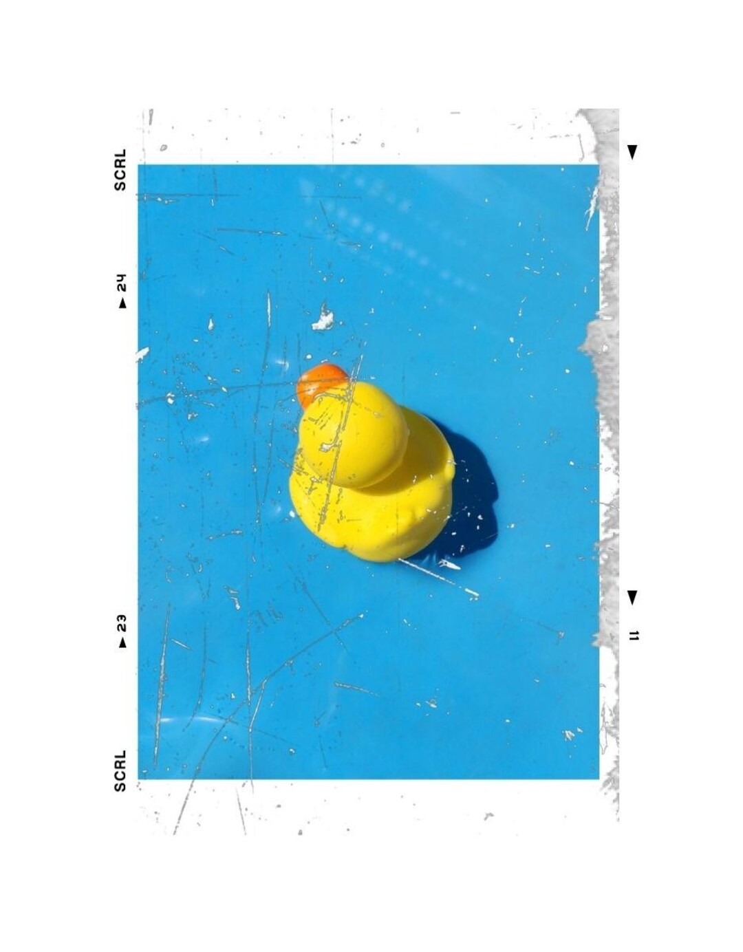 Rubber Duck Poster Print A3 - Etsy