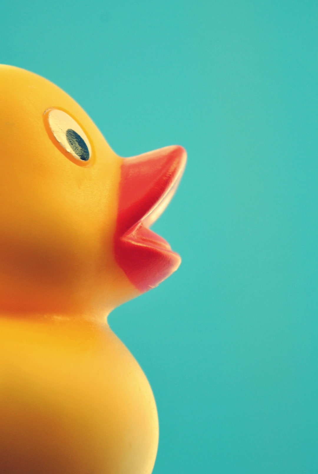 Rubber Ducky Print Digital Image - Etsy