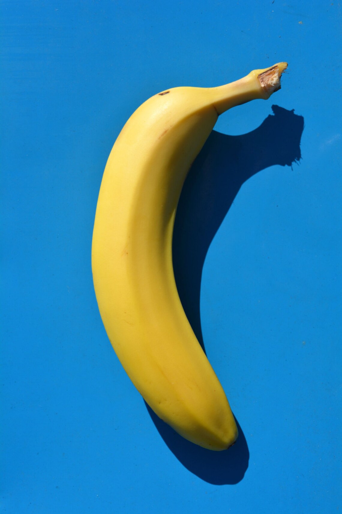 Banana Print - Etsy