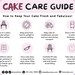 Cake Care Card and Cake Cutting Guide, Editable Cake Care Instructions ...