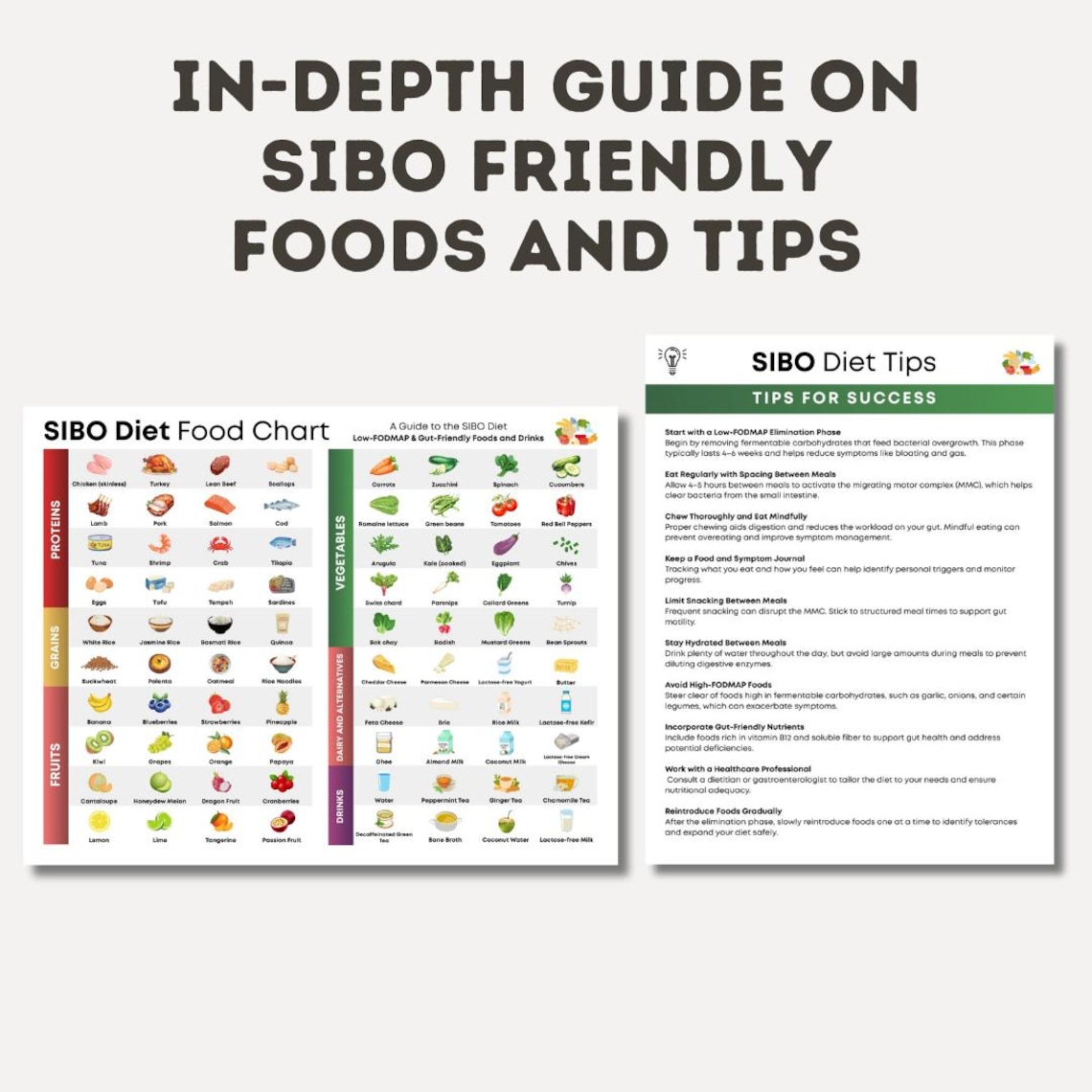 SIBO Diet Food Chart, Low FODCAP Diet Liste, IBS Meal Guide, Blähungen ...