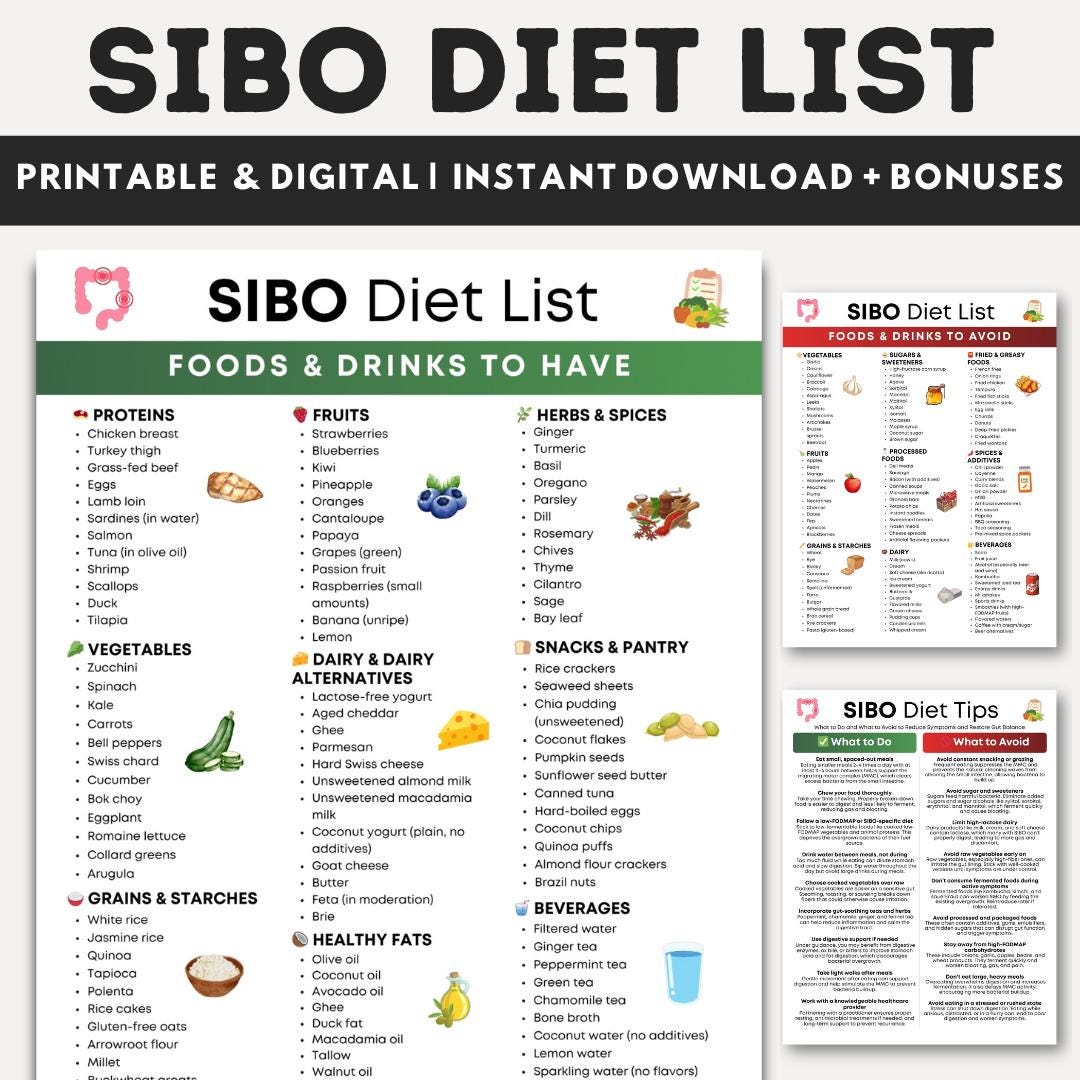 SIBO Diet Food List, Low FODMAP Grocery Food List, IBS Diet Guide ...
