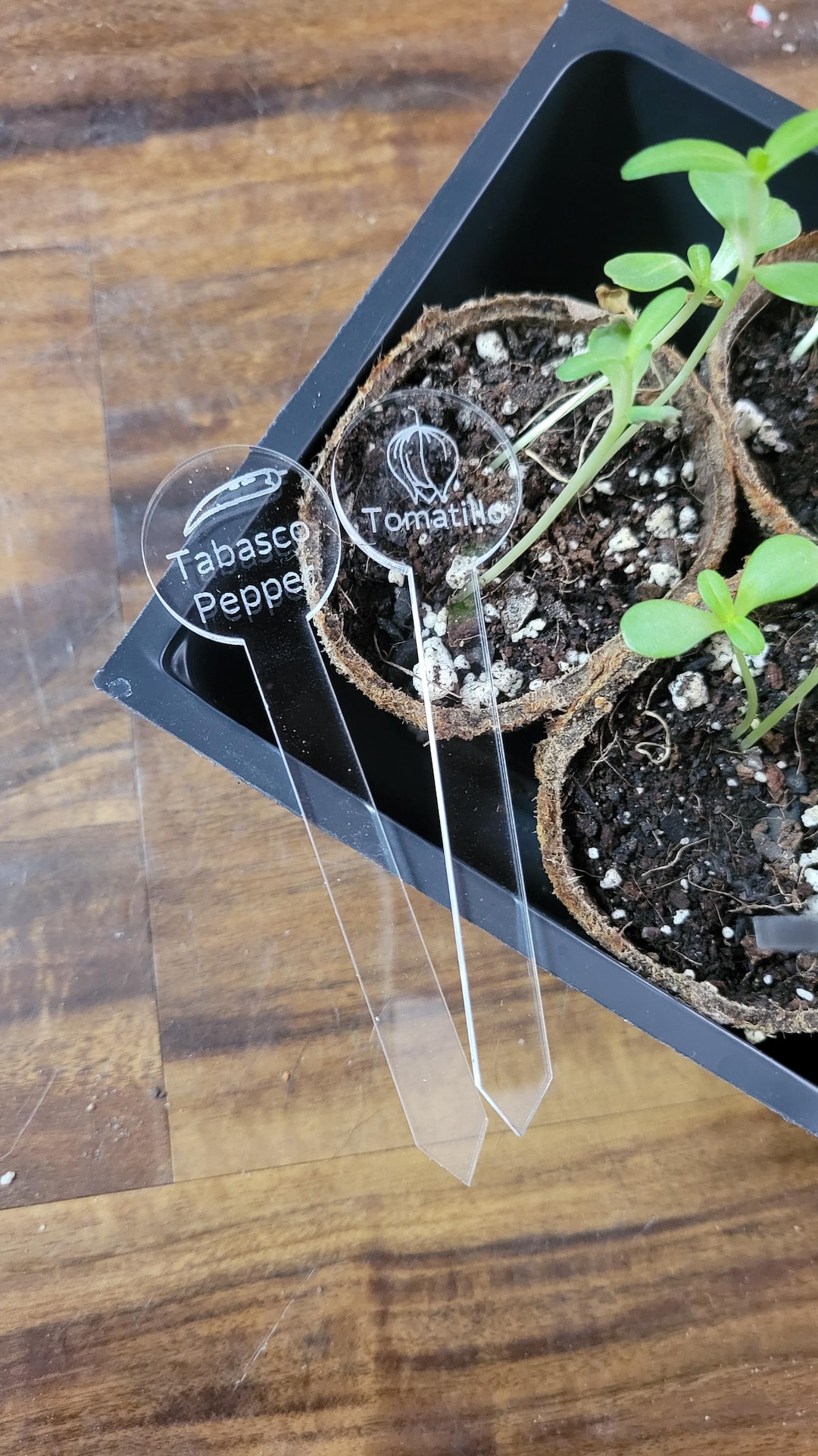 Clear Acrylic Plant Markers • Herb Garden Stakes • Vegetable Stakes - Etsy