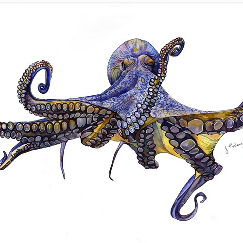 Metal Octopus Sculpture / Rusty Metal Garden Sculpture / - Etsy