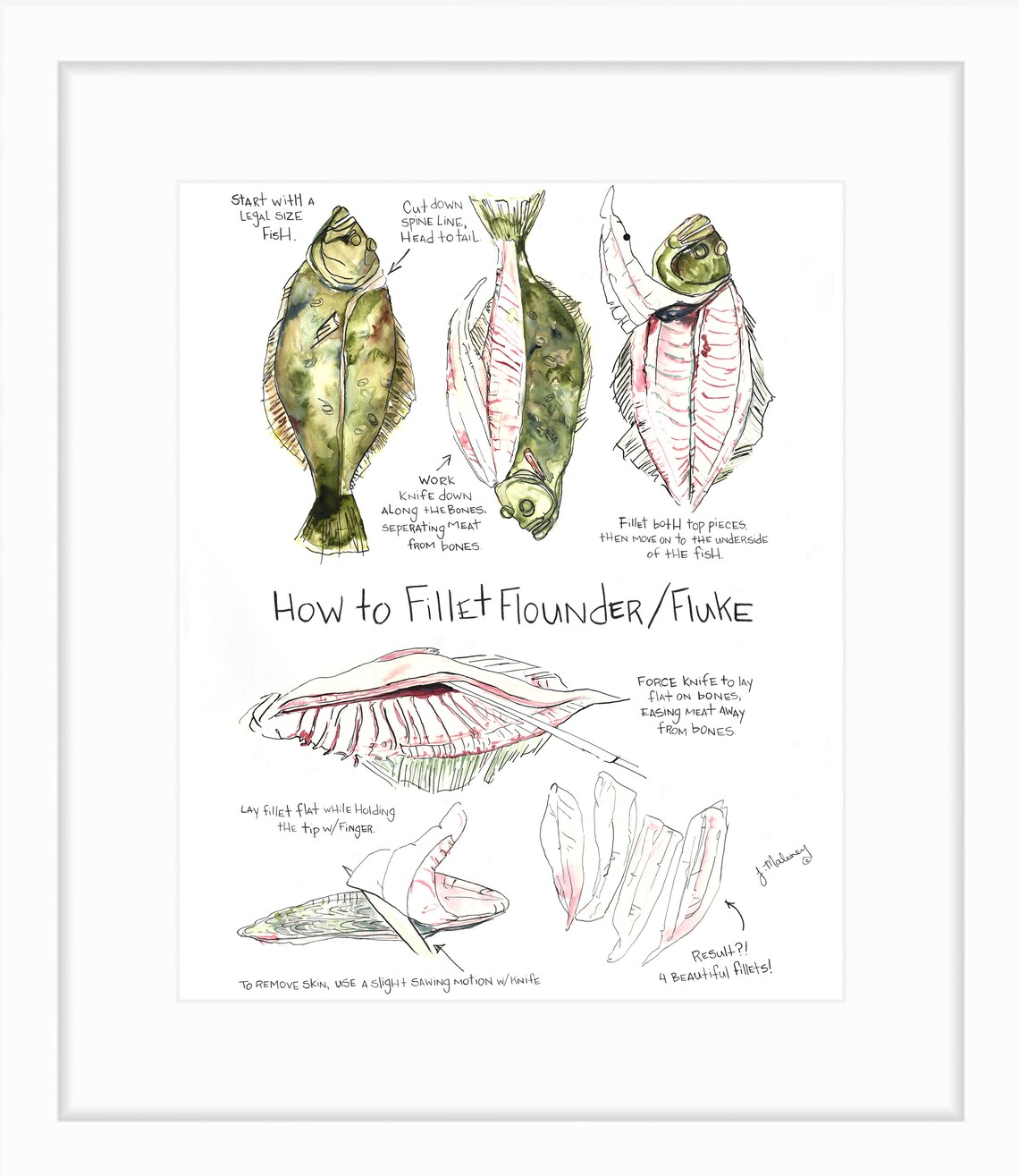 How to Fillet a Flounder/fluke - Etsy