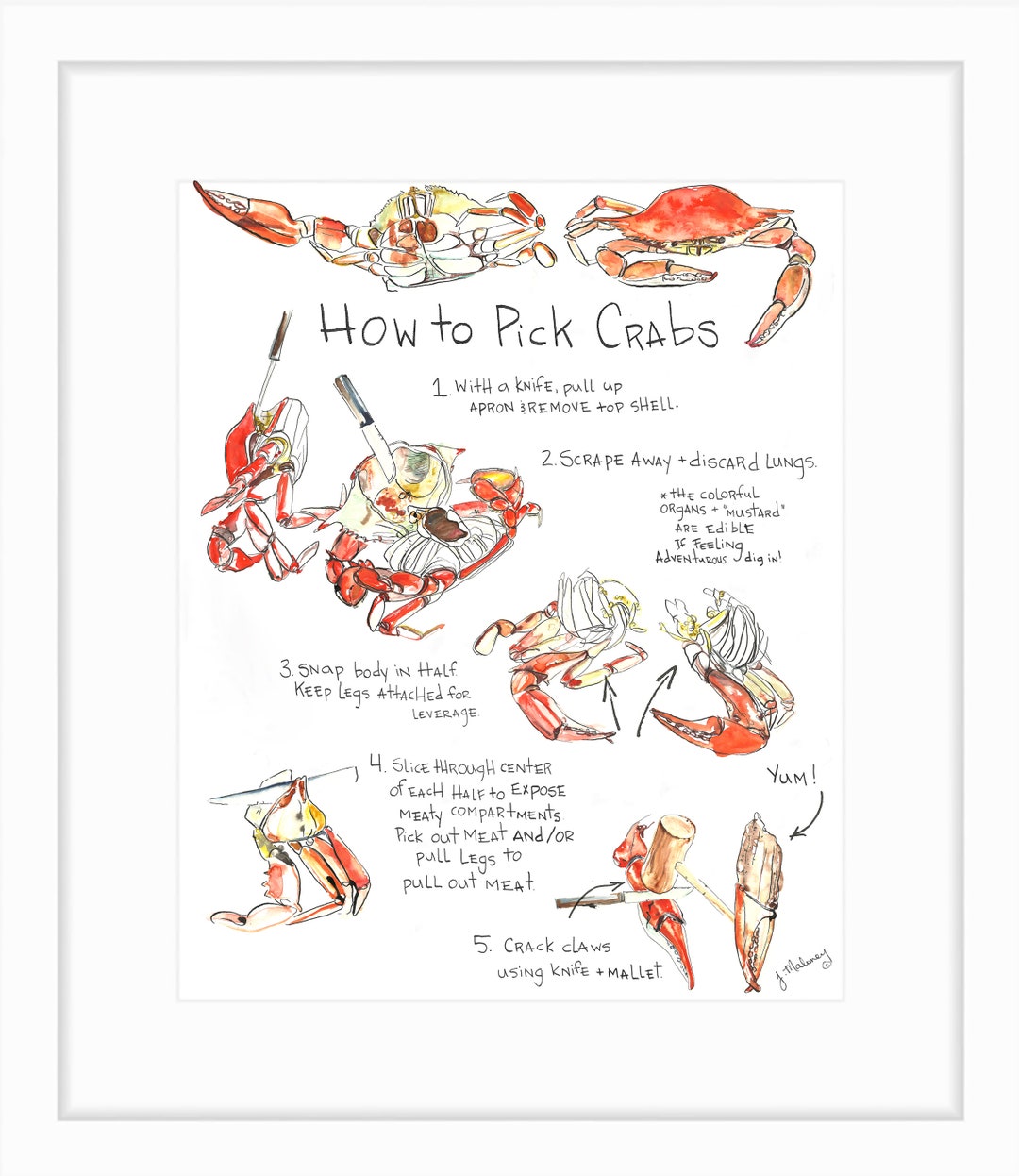 How to Pick Crabs - Etsy