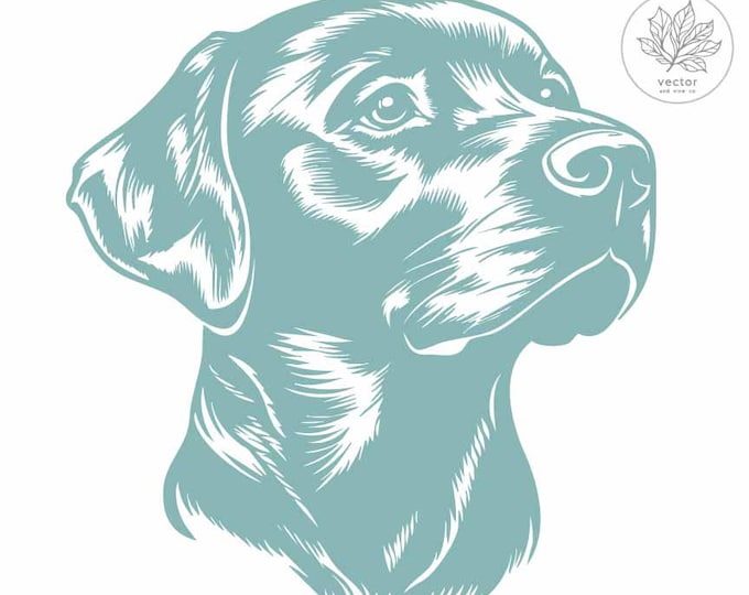 Labrador Svg Files for Cricut, Dog Clipart Yellow Lab Breed Vector ...