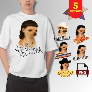 Chihuahua Perrito de los corridos, en formato png fondo transparente ...