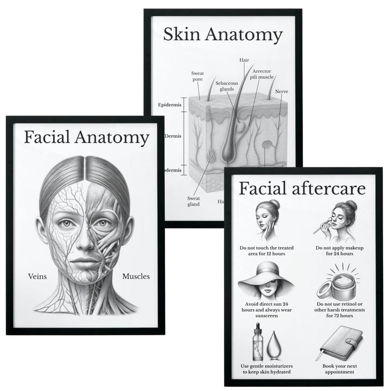 Facial Anatomy Printable Poster Set | A3 PDF Wall Art | Beauty Salon ...