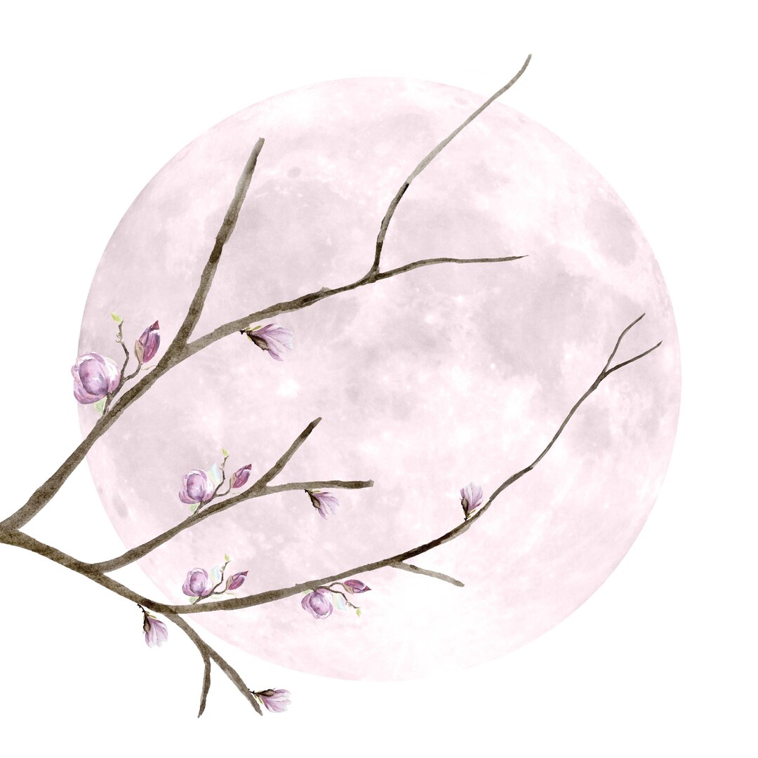 MOONLIT MAGNOLIAS Png | Png for Sublimation | Instant Download - Etsy
