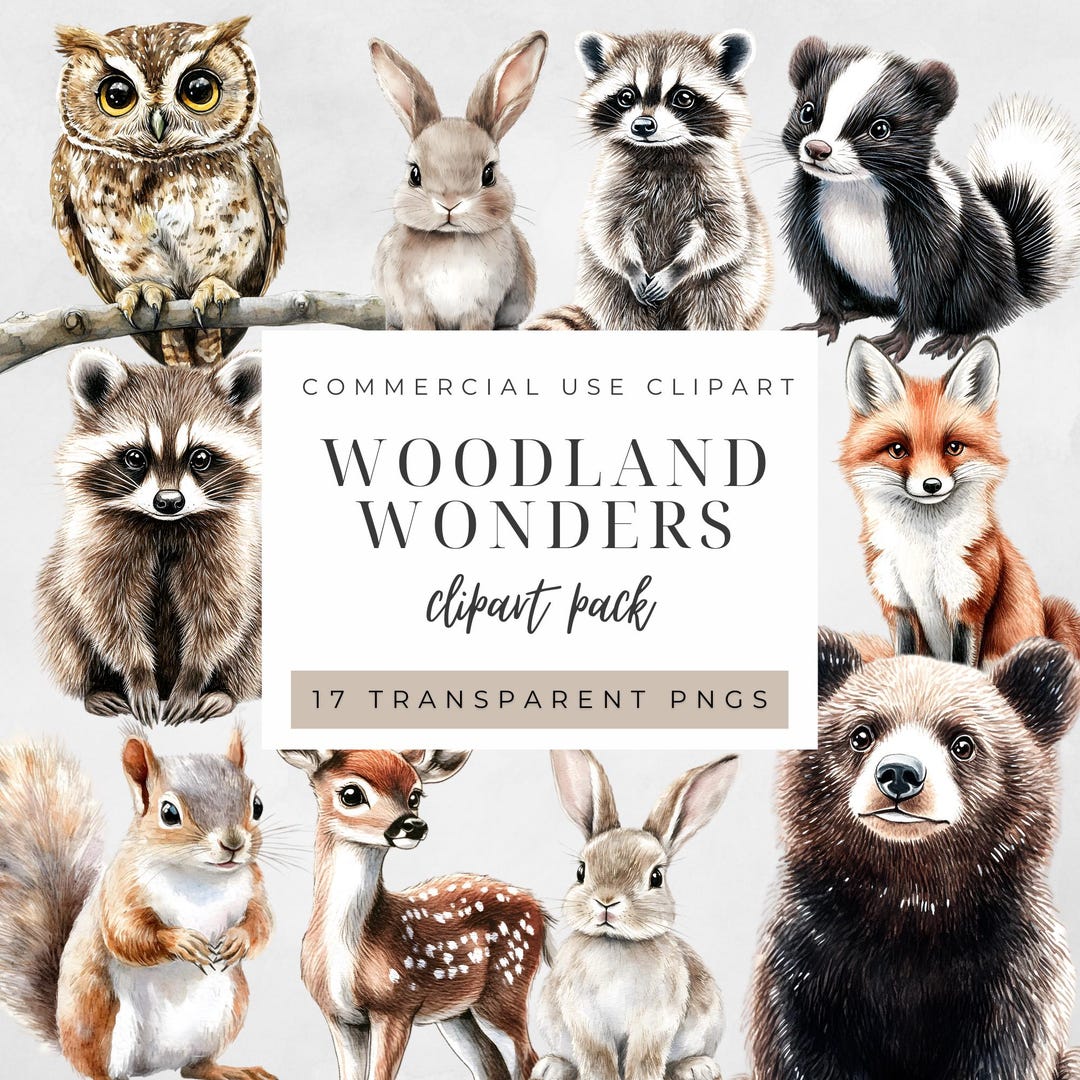 Woodland Animals Clipart – Realistic Forest Creatures Pngs (fox, Deer ...