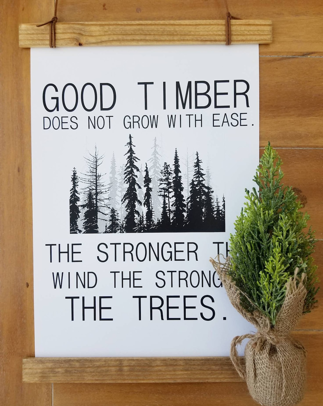 Good Timber Does Not Grow With Ease, the Stronger the Winds the ...