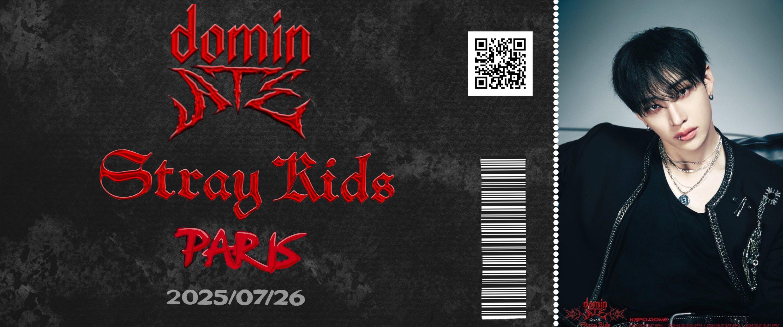 Customized Stray Kids Dominate Tour Tickets - Etsy