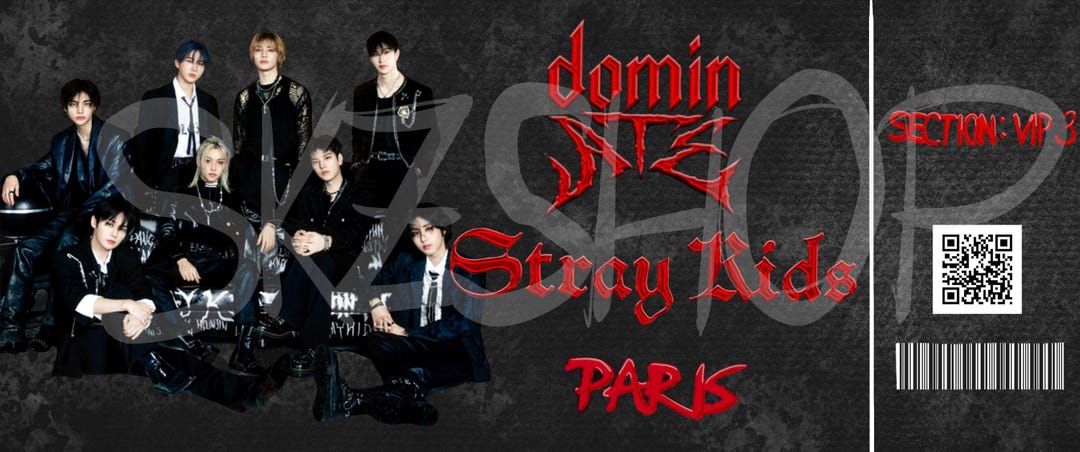 Stray Kids Costumized City and Seat Ticket - Etsy