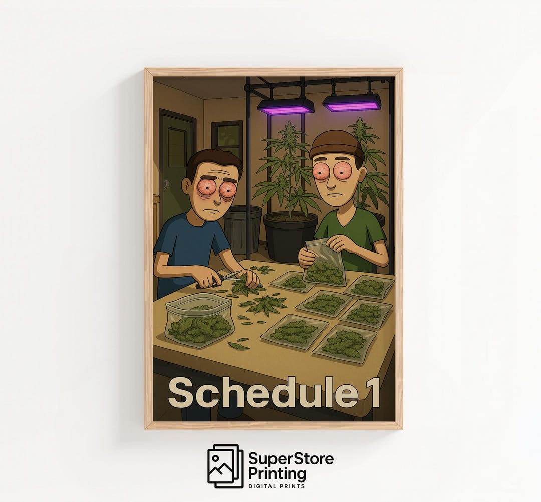 Schedule 1 Digital Poster, Gaming Poster, Gamer Gift. Fun Poster, Fan ...