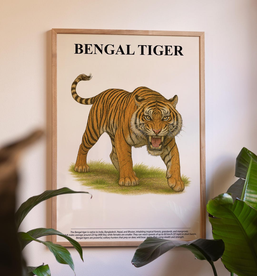 Bengal Tiger Poster – Wildlife Wall Art, Big Cat Illustration, Nature ...