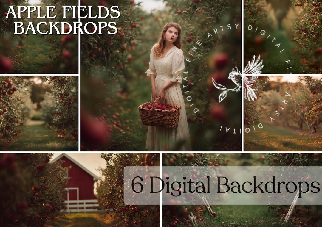 Apple Orchard Digital Backdrop, Rustic Autumn Photography (digital ...