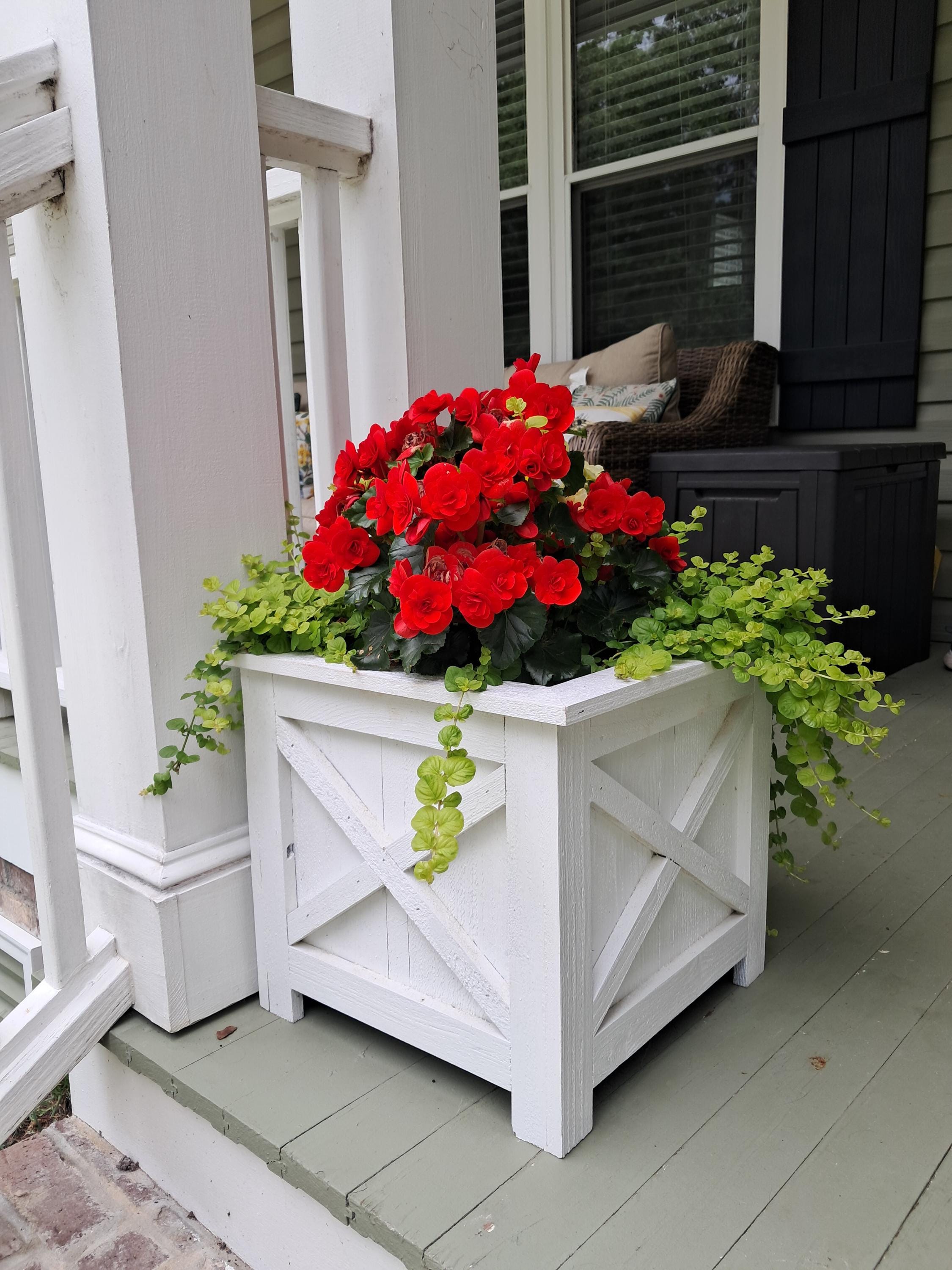 Handmade Cedar Planter Box: Rustic Farmhouse X-design - Etsy