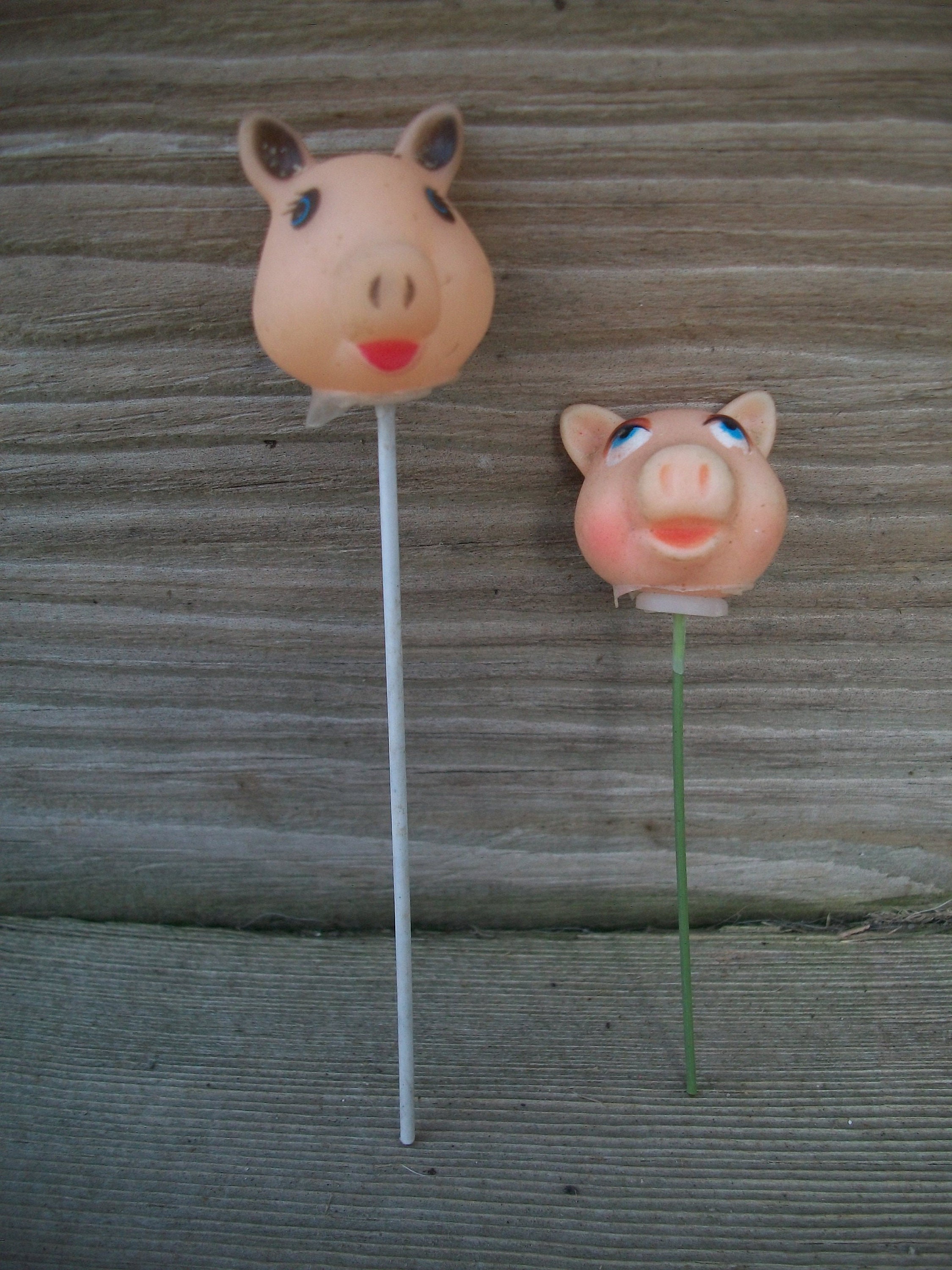 Pig Head On A Stick