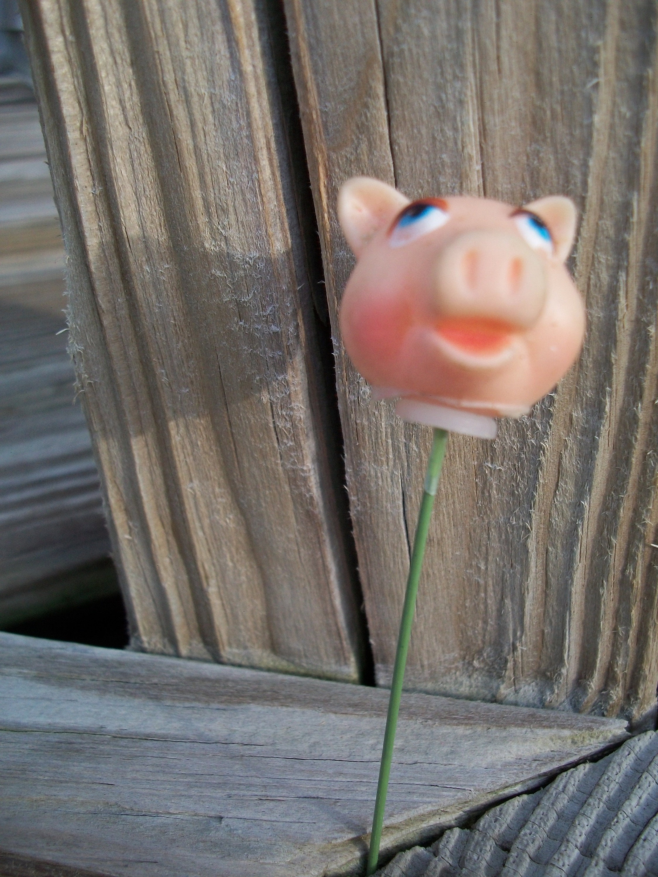 Unusual Vintage 1-inch Piggy Doll Head on a Stick - Etsy