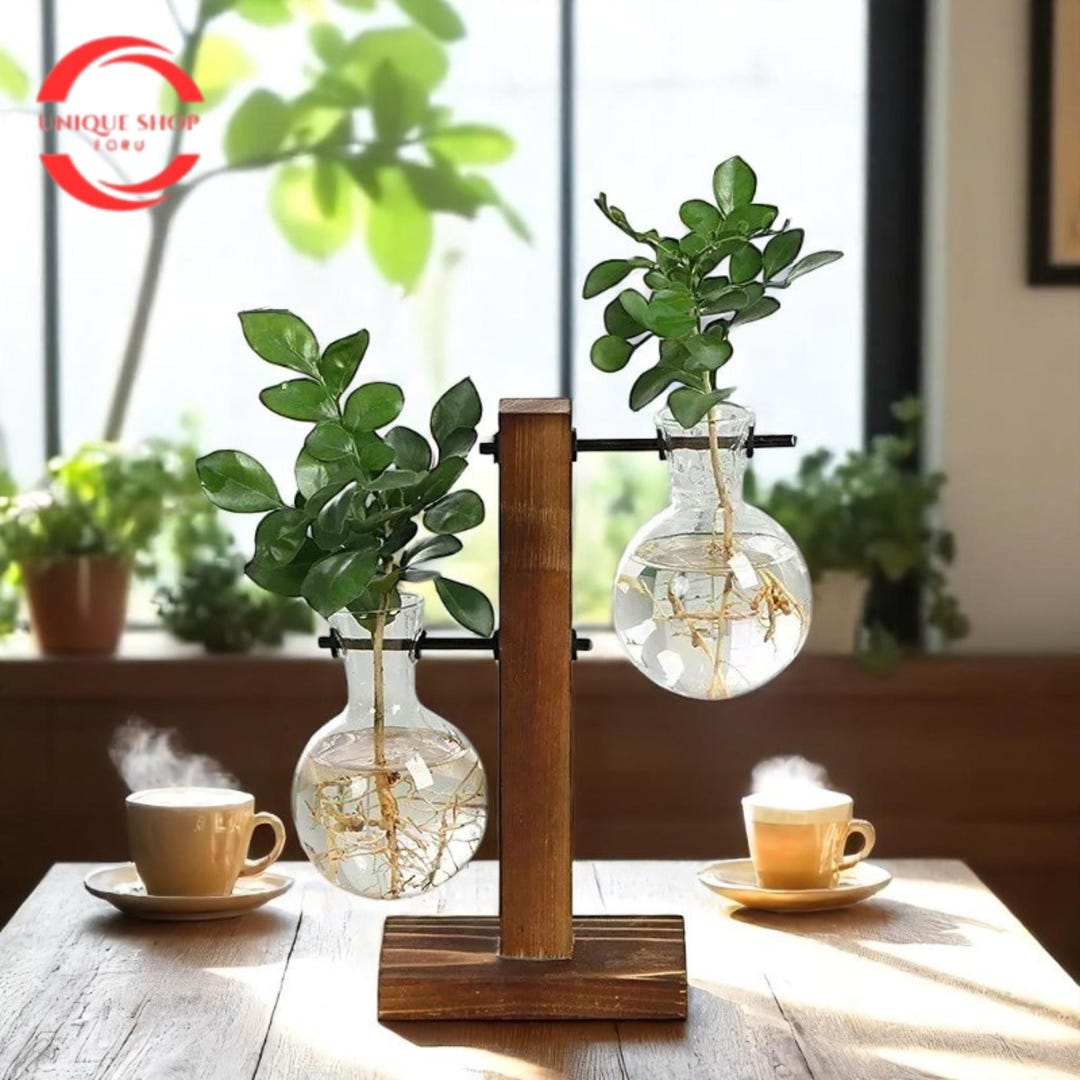 Glass Plant Vase - Hydroponic Planter - Bulb Vase - Wooden Stand Vase ...