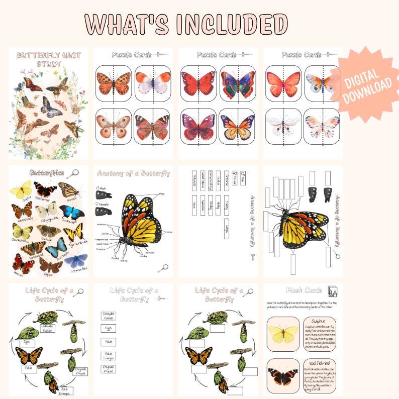 Butterfly Unit Study Bundle Nature Study Homeschool Learning Materials ...