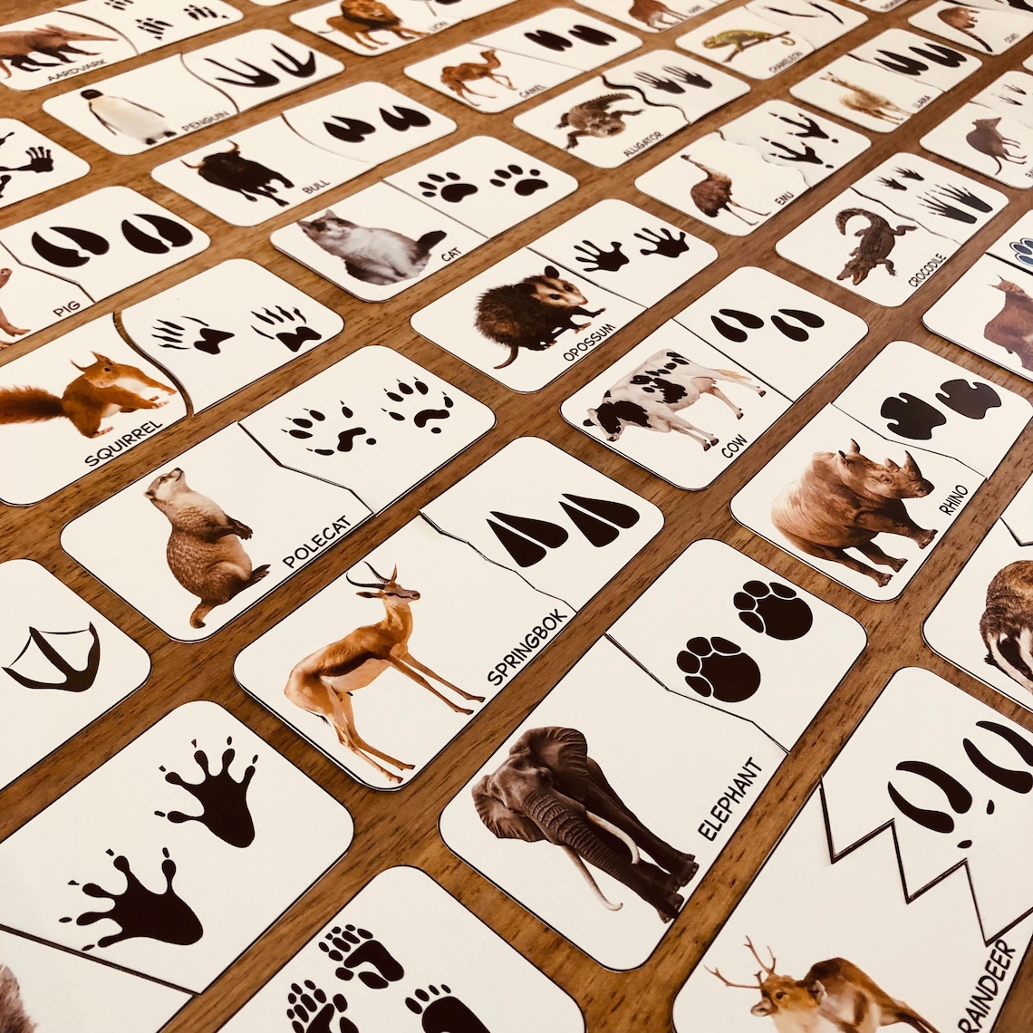 Animal Tracks Matching Activity | Printable Digital Download, Nature ...