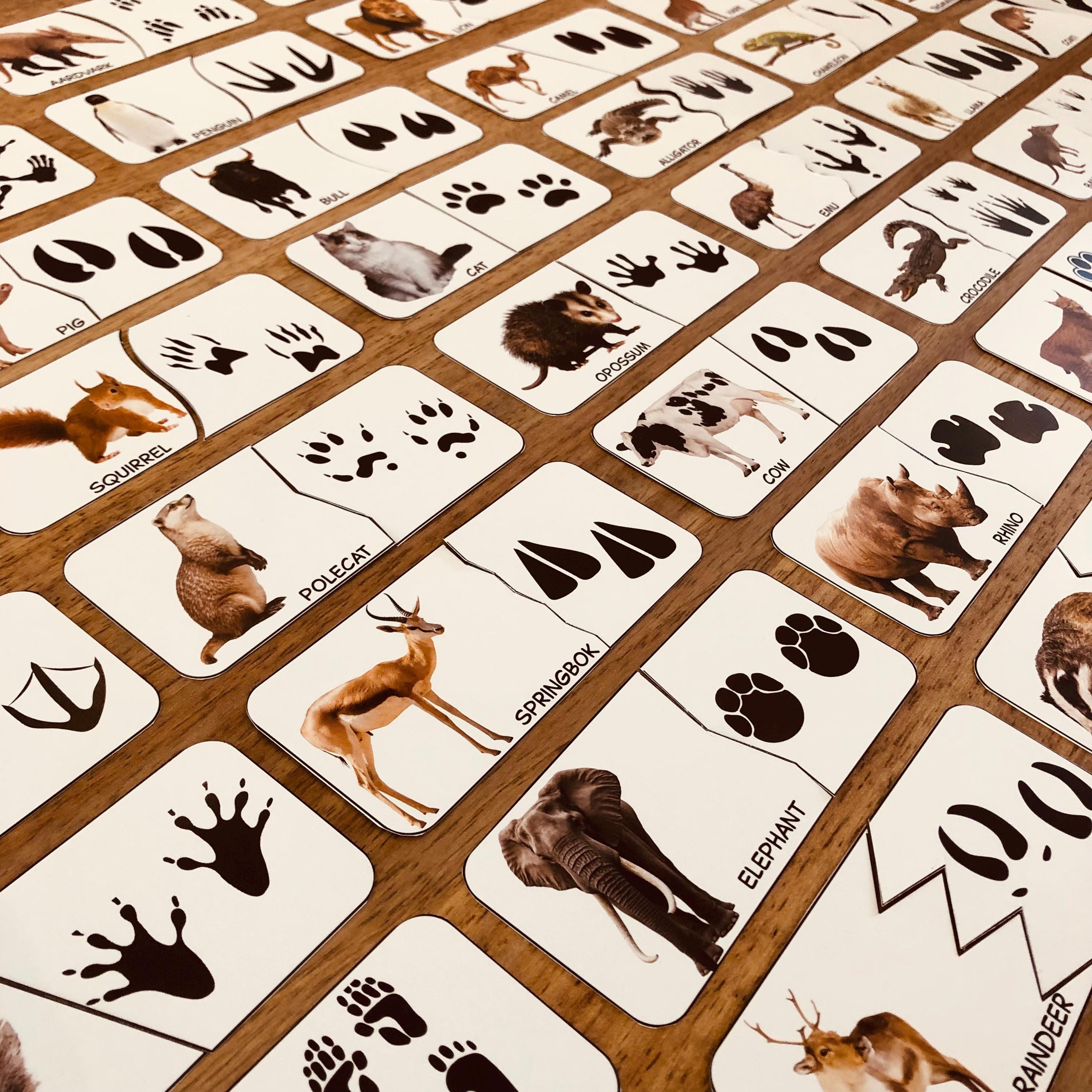 Animal Tracks Matching Activity | Printable Digital Download, Nature ...