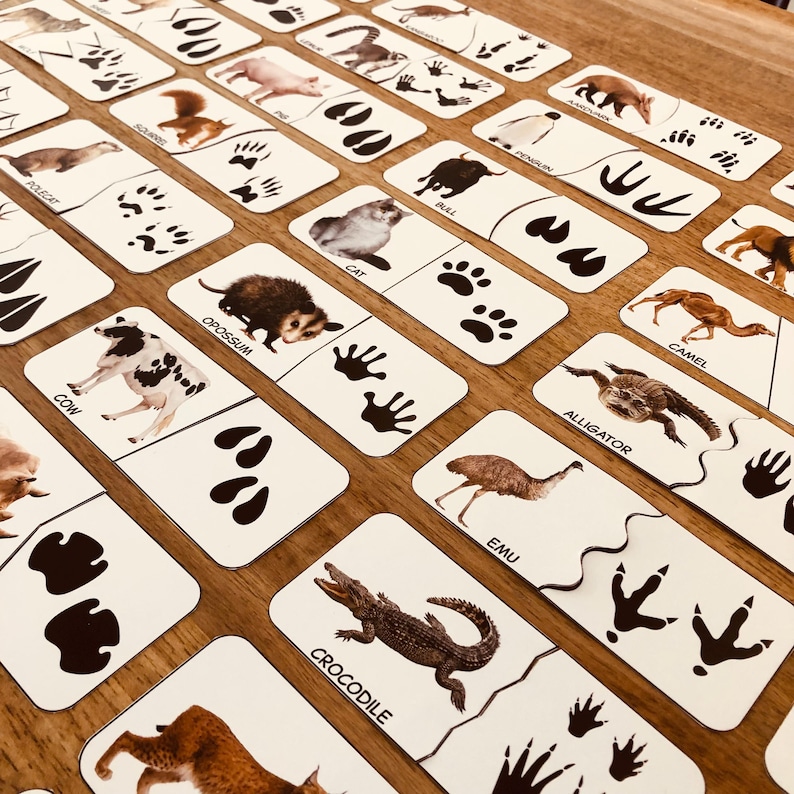 Animal Tracks Matching Activity | Printable Digital Download, Nature ...