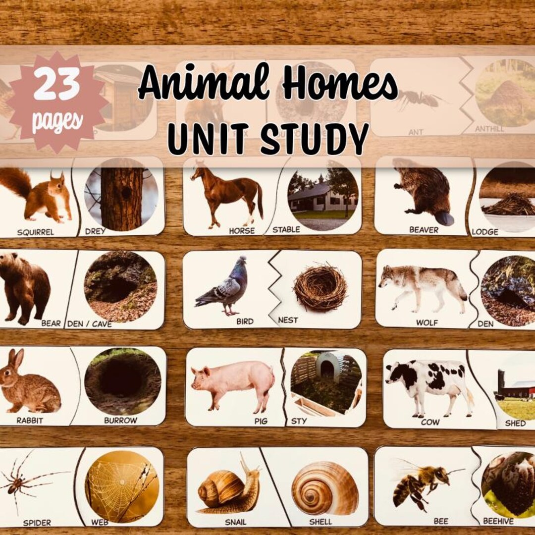 ANIMAL HOMES Unit Study | Nature Study | Montessori-inspired | Animal ...