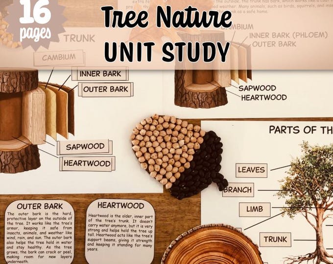 Tree Unit Study Bundle - Nature Education Printable - Tree Leaf ...