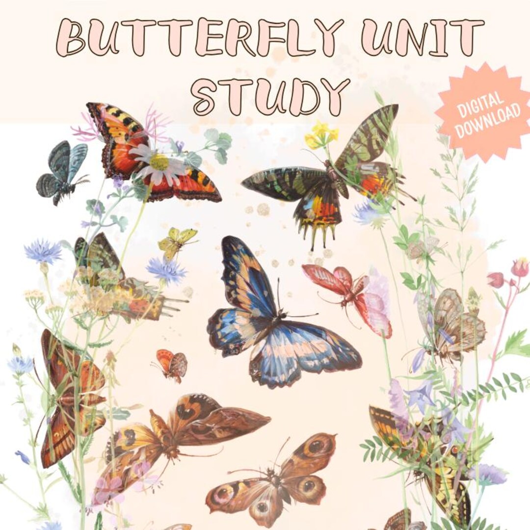 Butterfly Unit Study Bundle Nature Study Homeschool Learning Materials ...