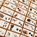 Animal Tracks Matching Activity | Printable Digital Download, Nature ...