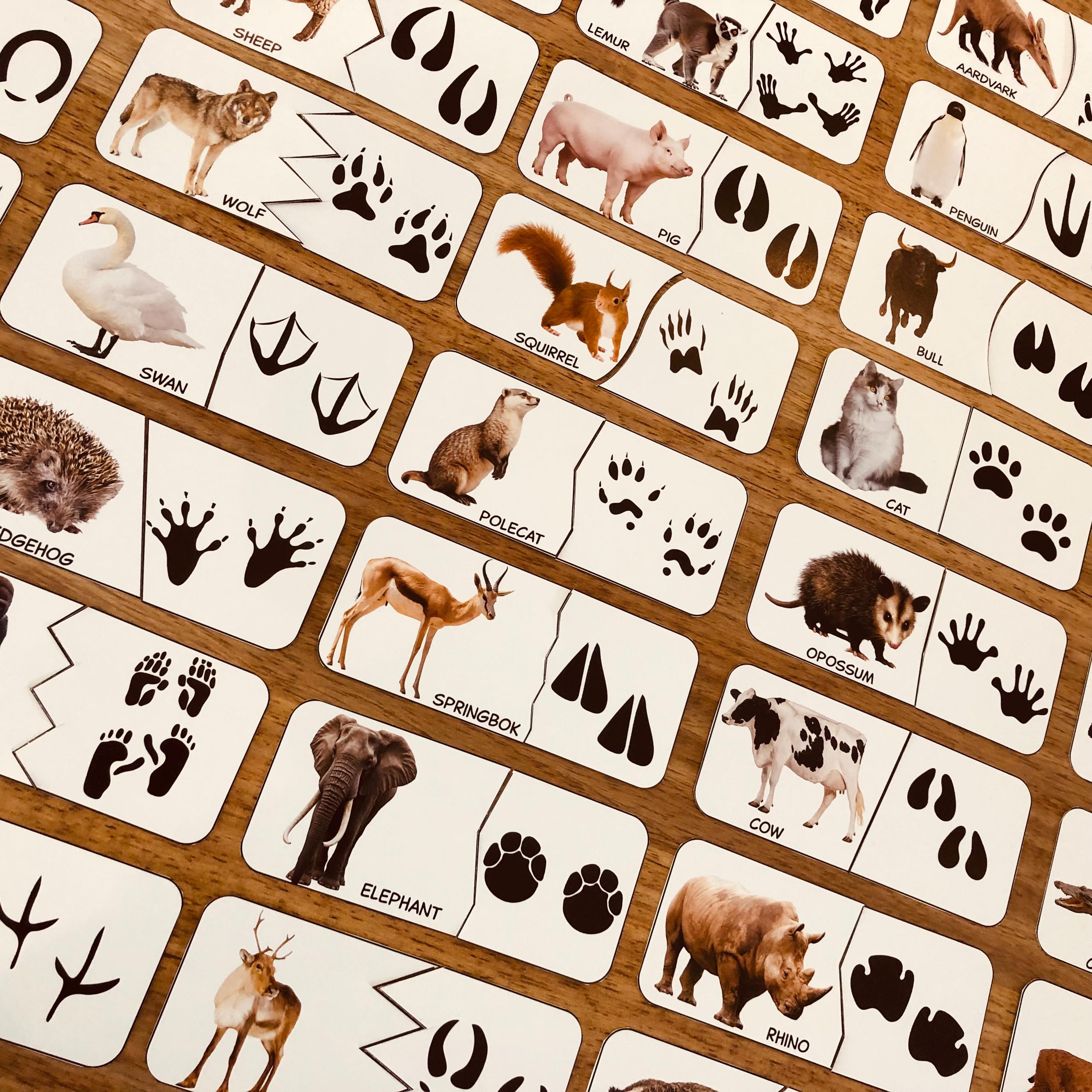 Animal Tracks Matching Activity | Printable Digital Download, Nature ...