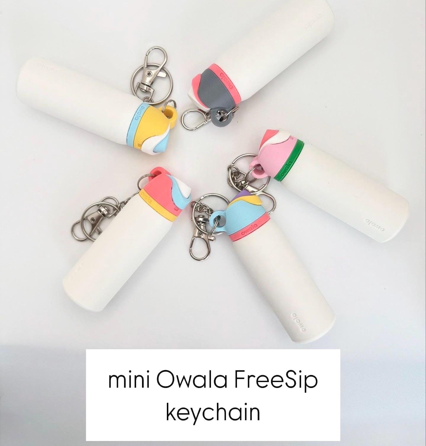 Mini Owala Freesip Inspired 3D Printed Keychain and Chapstick Holder ...