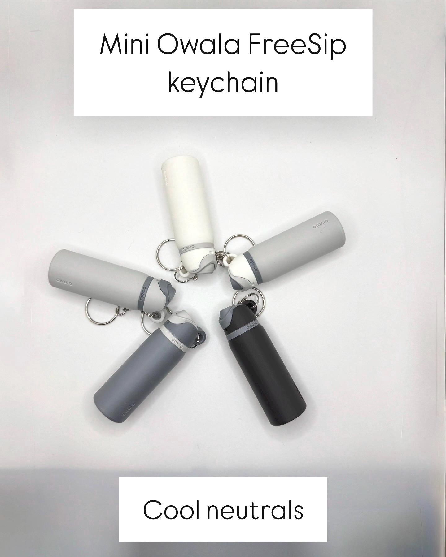 Mini Owala Freesip Inspired 3D Printed Keychain and Chapstick Holder ...