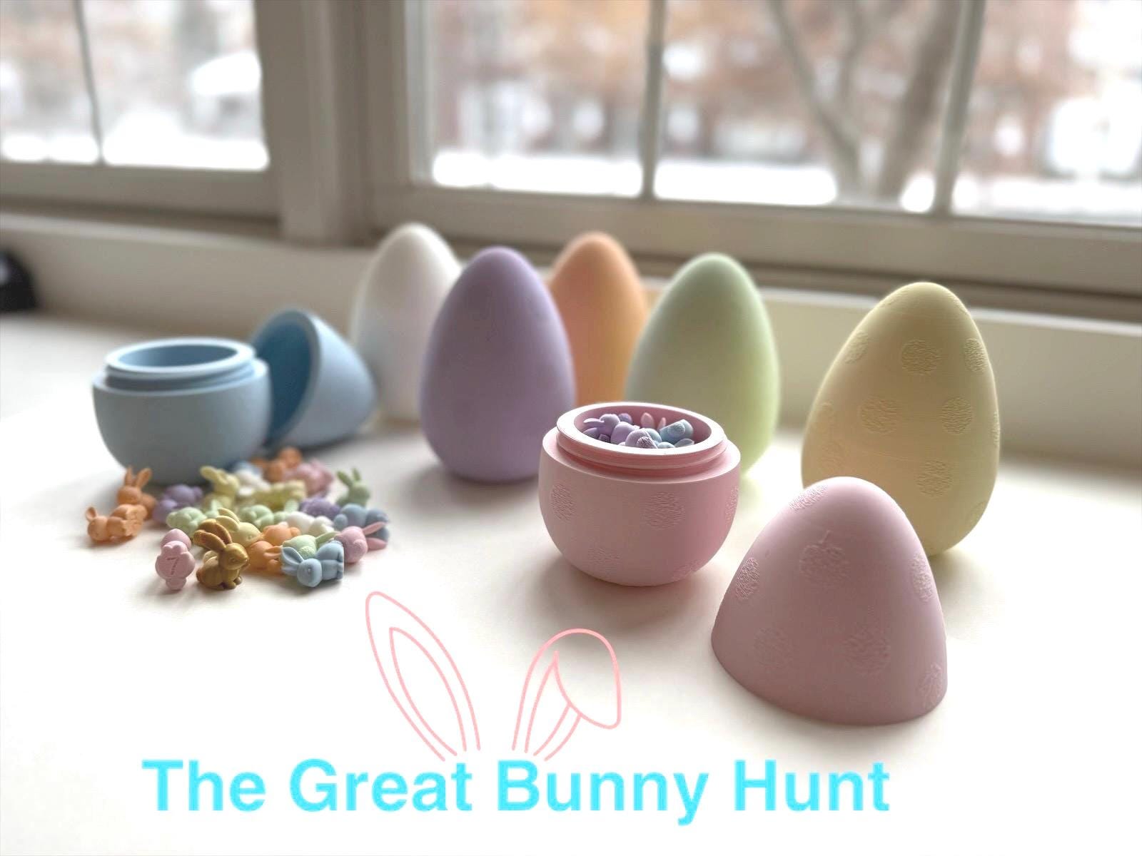 The Great Bunny Hunt Family Adventure Game — Springtime Twist on Hide ...