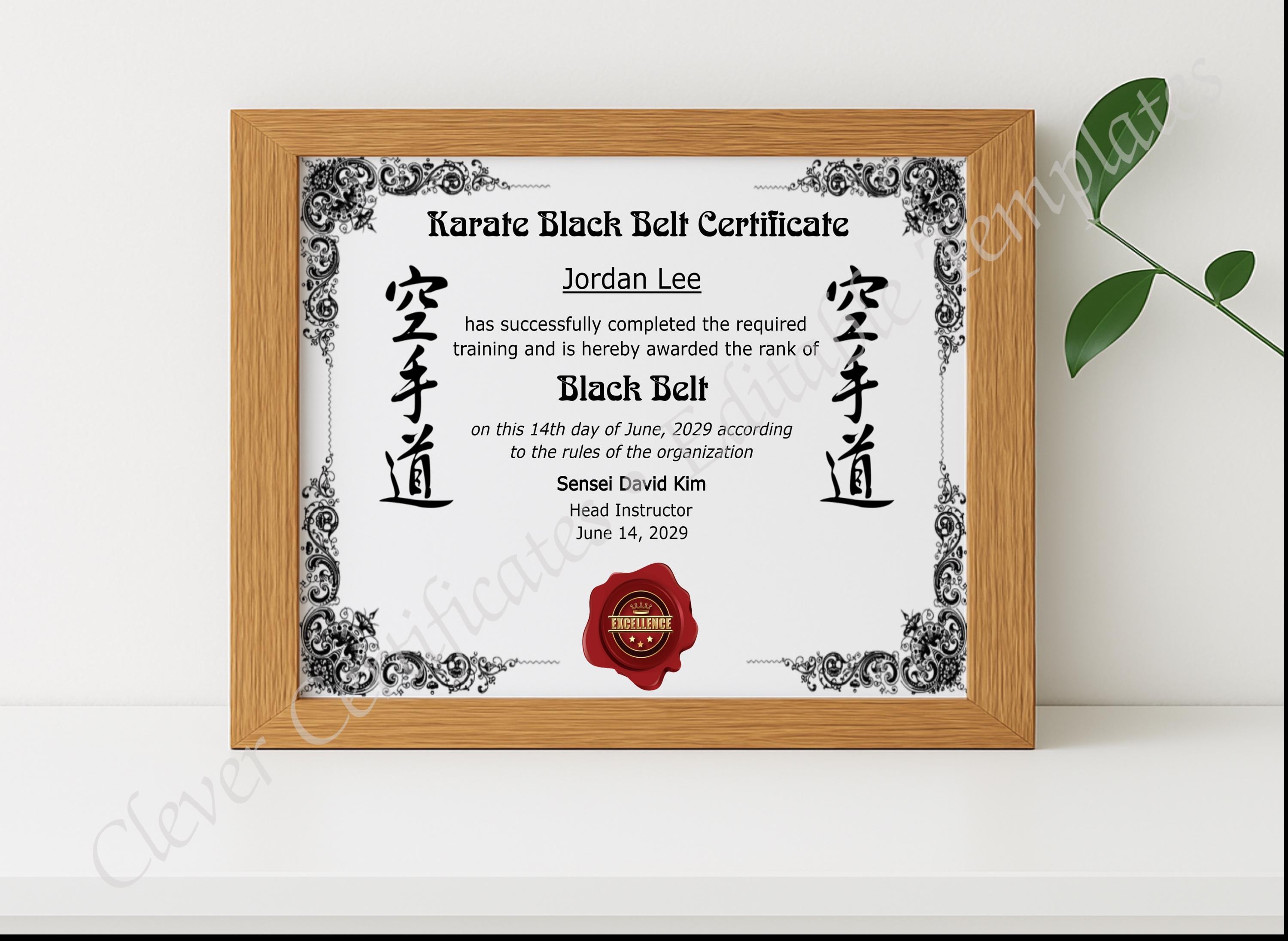 Karate Black Belt Certificate Template: Editable, Printable Martial ...