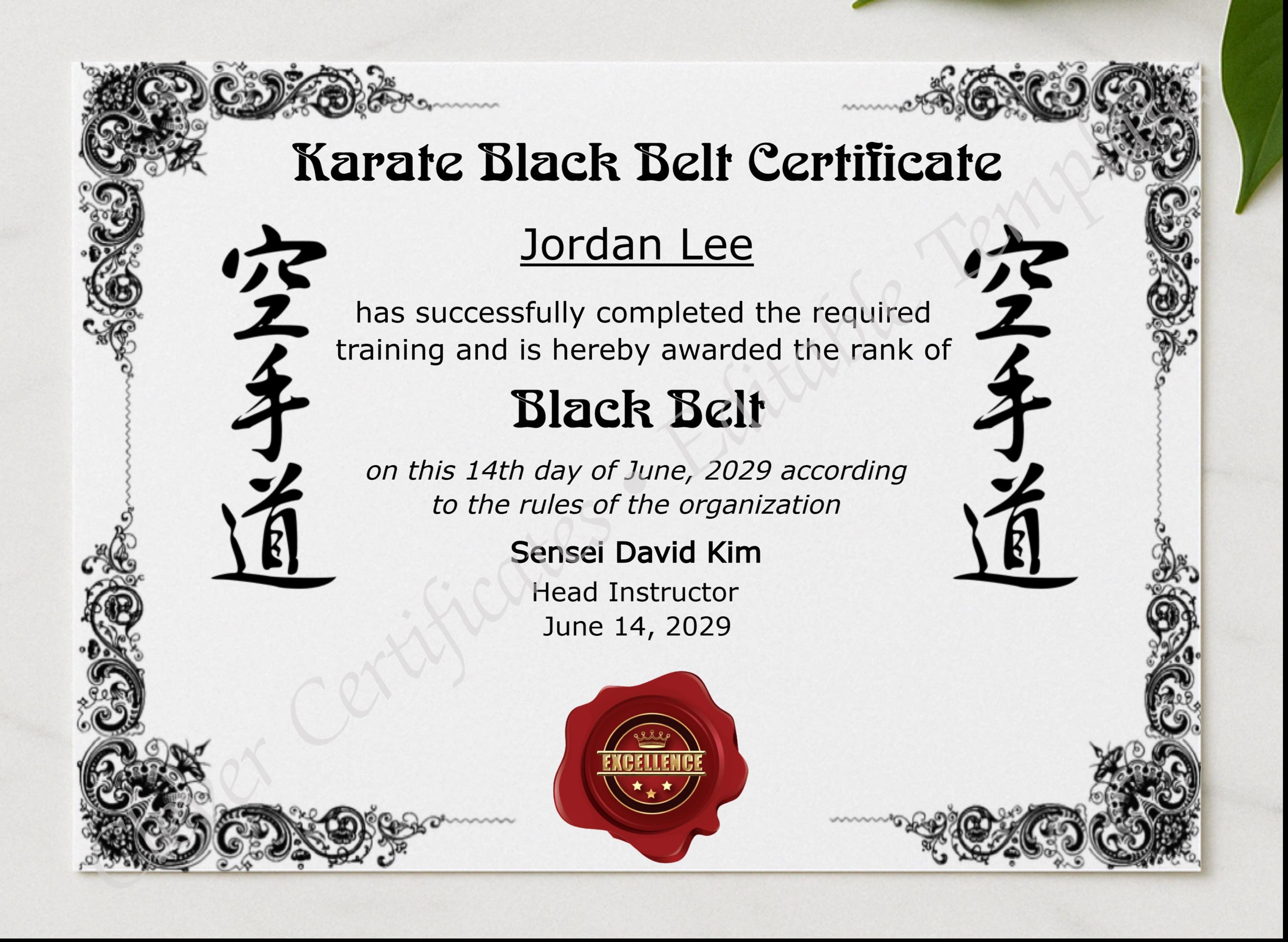 Karate Black Belt Certificate Template: Editable, Printable Martial ...